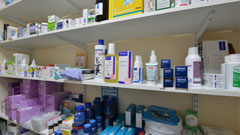 Module 10: Medicines - member only page | BSAVA