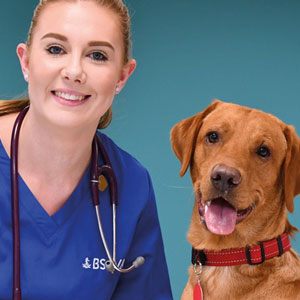 BSAVA - Advancing Small Animal Veterinary Practice