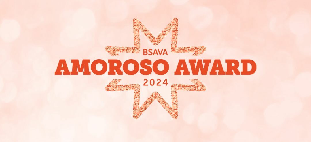 The Amoroso Award | BSAVA Awards