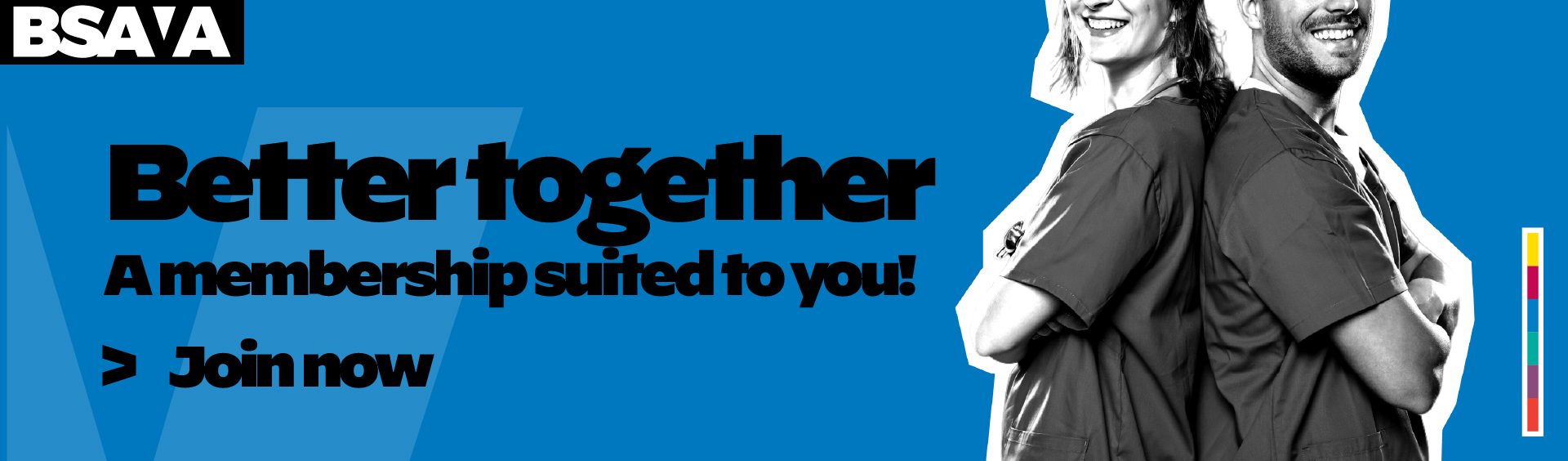 BSAVA - Advancing Small Animal Veterinary Practice