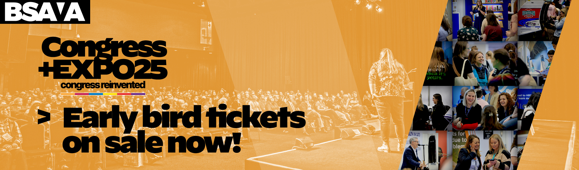 BSAVA - Advancing Small Animal Veterinary Practice