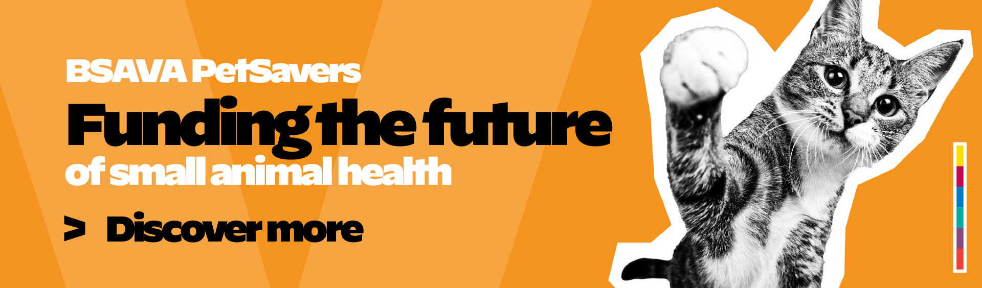 BSAVA - Advancing Small Animal Veterinary Practice