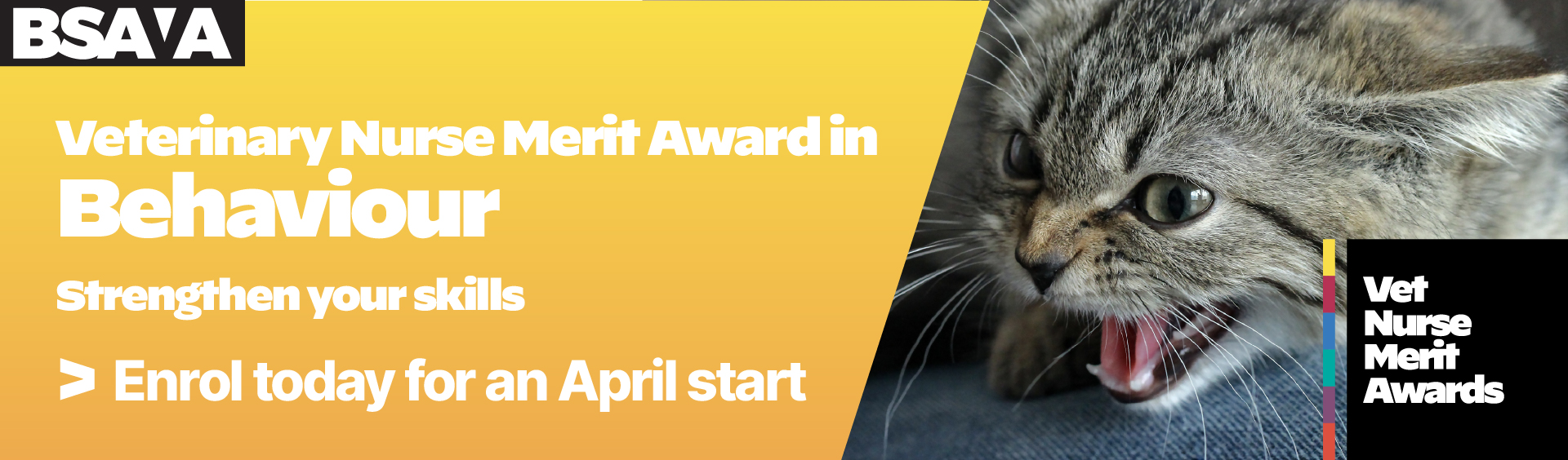 BSAVA - Advancing Small Animal Veterinary Practice